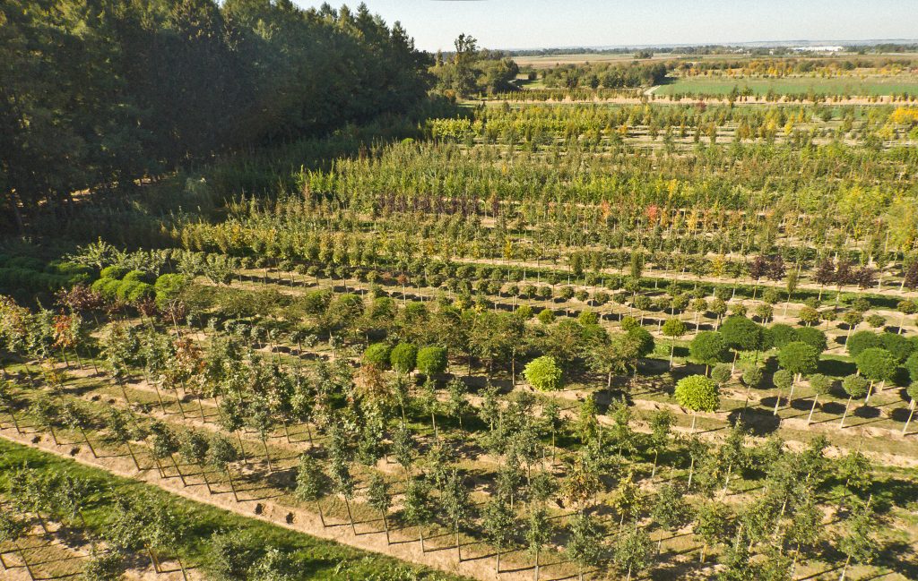 Das sind wir – Baumschule Haage